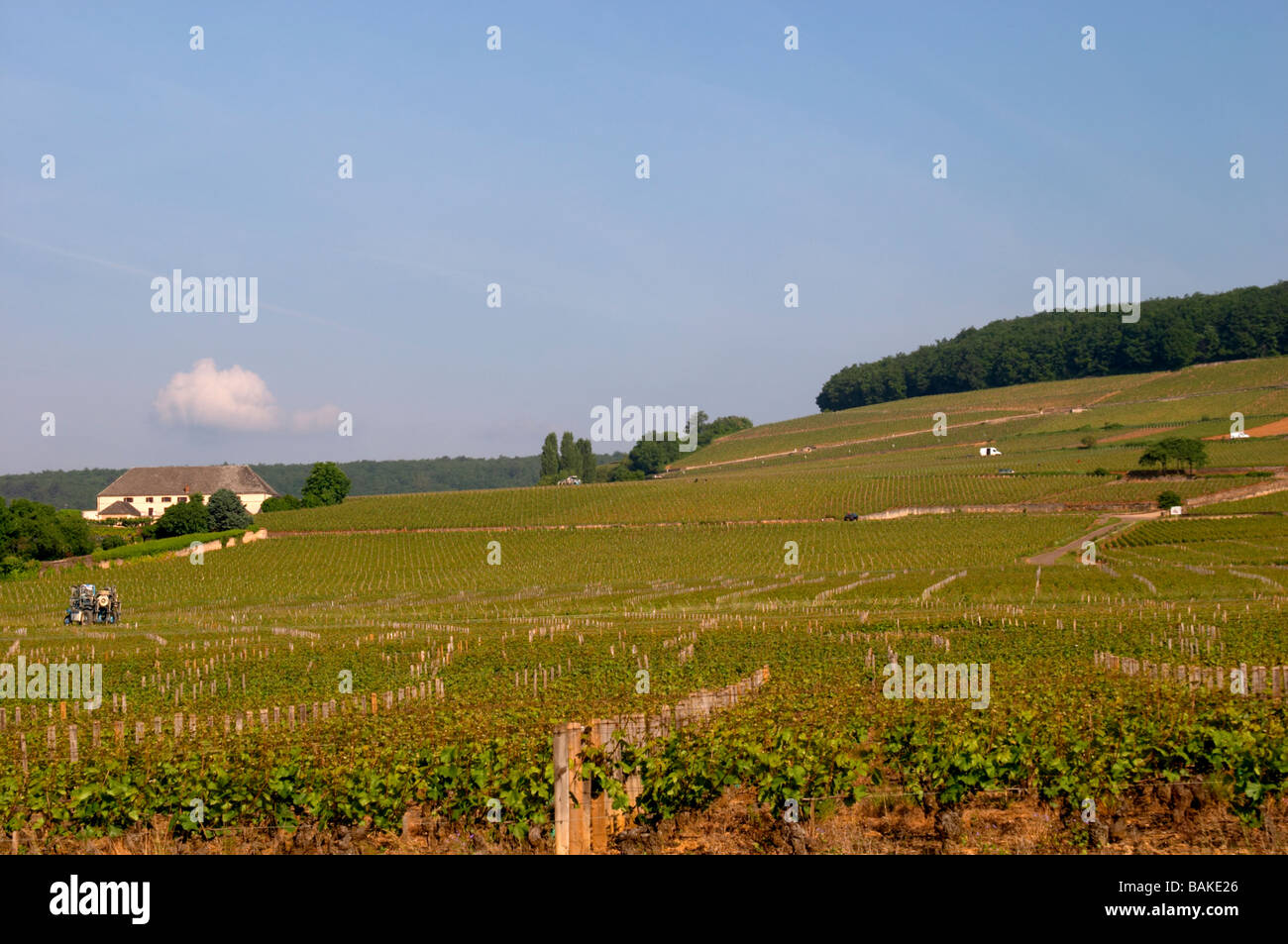 Vineyards hill of corton hi-res stock photography and images - Alamy