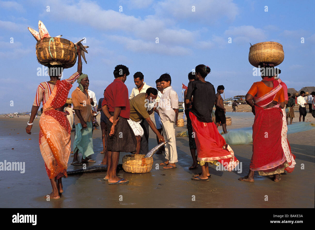 India, Orissa State, Puri, fish trade Stock Photo - Alamy