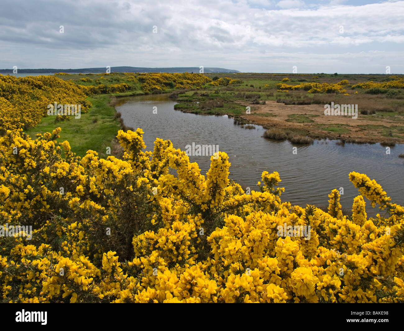 Pennington marshes hi-res stock photography and images - Alamy