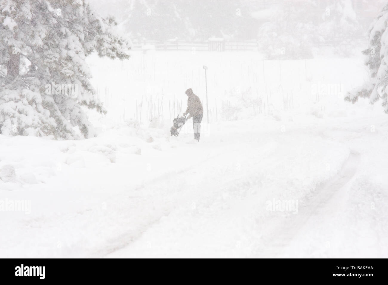 Shoveling snow blizzard digging hi-res stock photography and images - Alamy