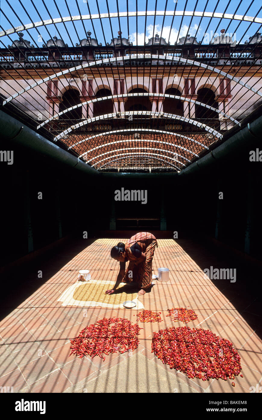 India, Tamil Nadu State, Kanadukathan, Cvrm house, young woman drying ...