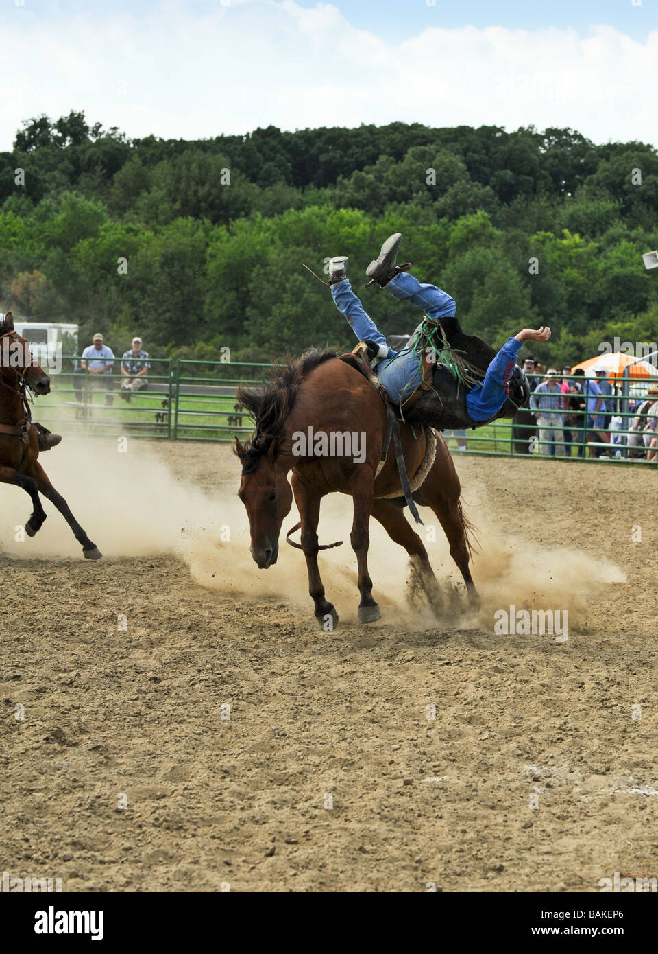 Man falling of a bucking horse at rodeo Stock Photo - Alamy