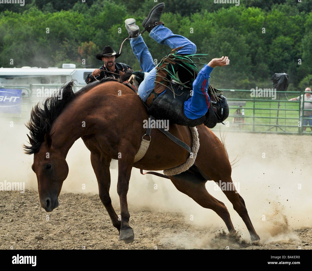 Horses Bucking People Off