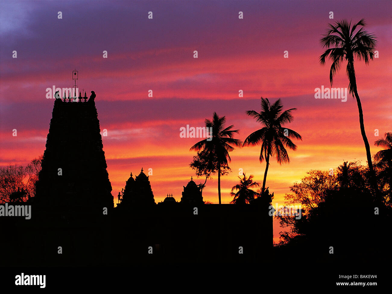 India, Tamil Nadu State, Chettinad Region, Puvandipatti, Siva Temple ...