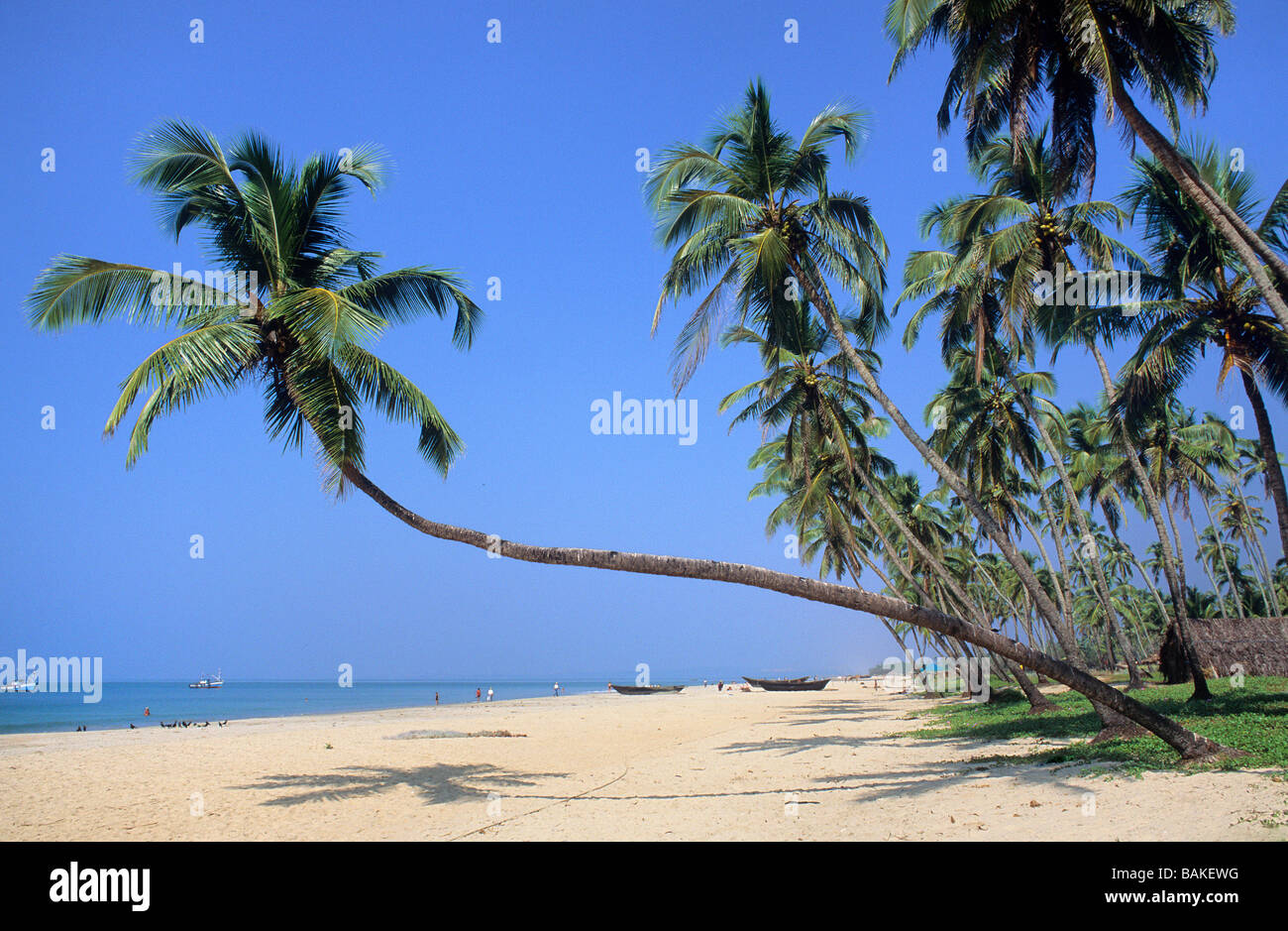 India, Goa State, Colva Beach Stock Photo - Alamy