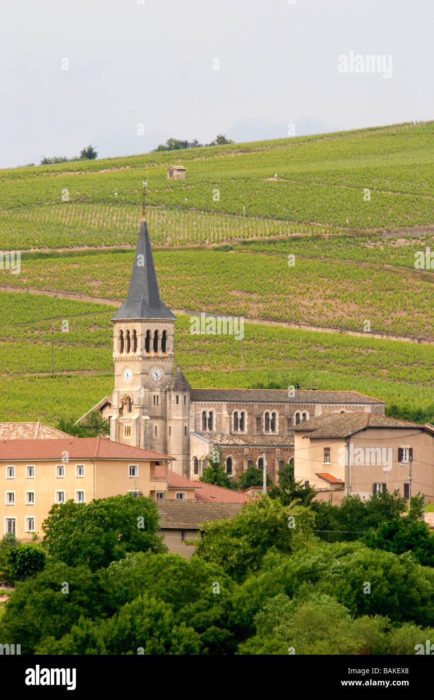 Morgon, Beaujolais High Resolution Stock Photography and Images - Alamy