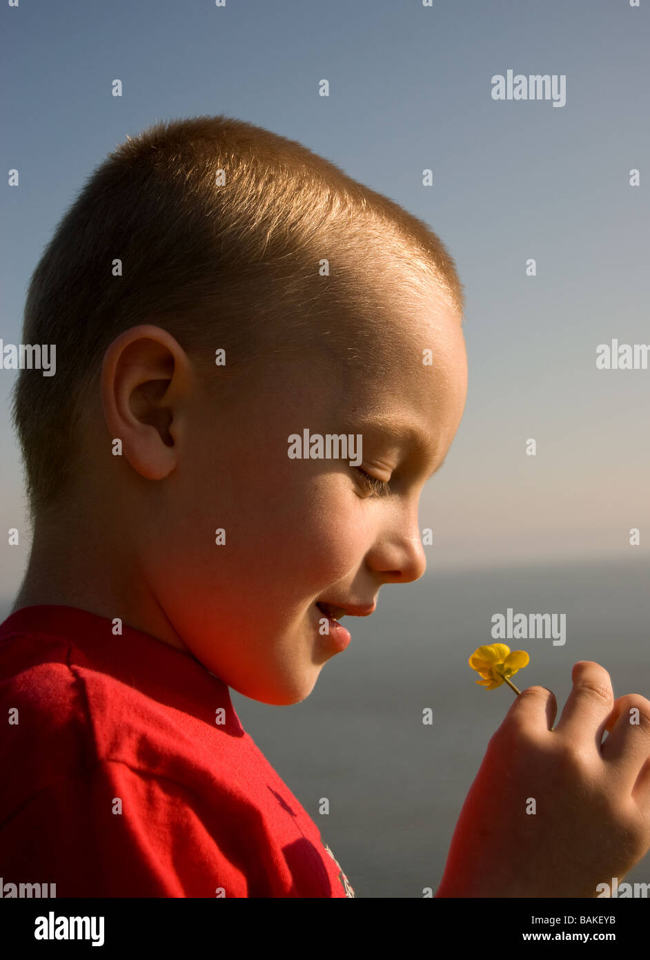 Boy buttercup hi-res stock photography and images - Alamy