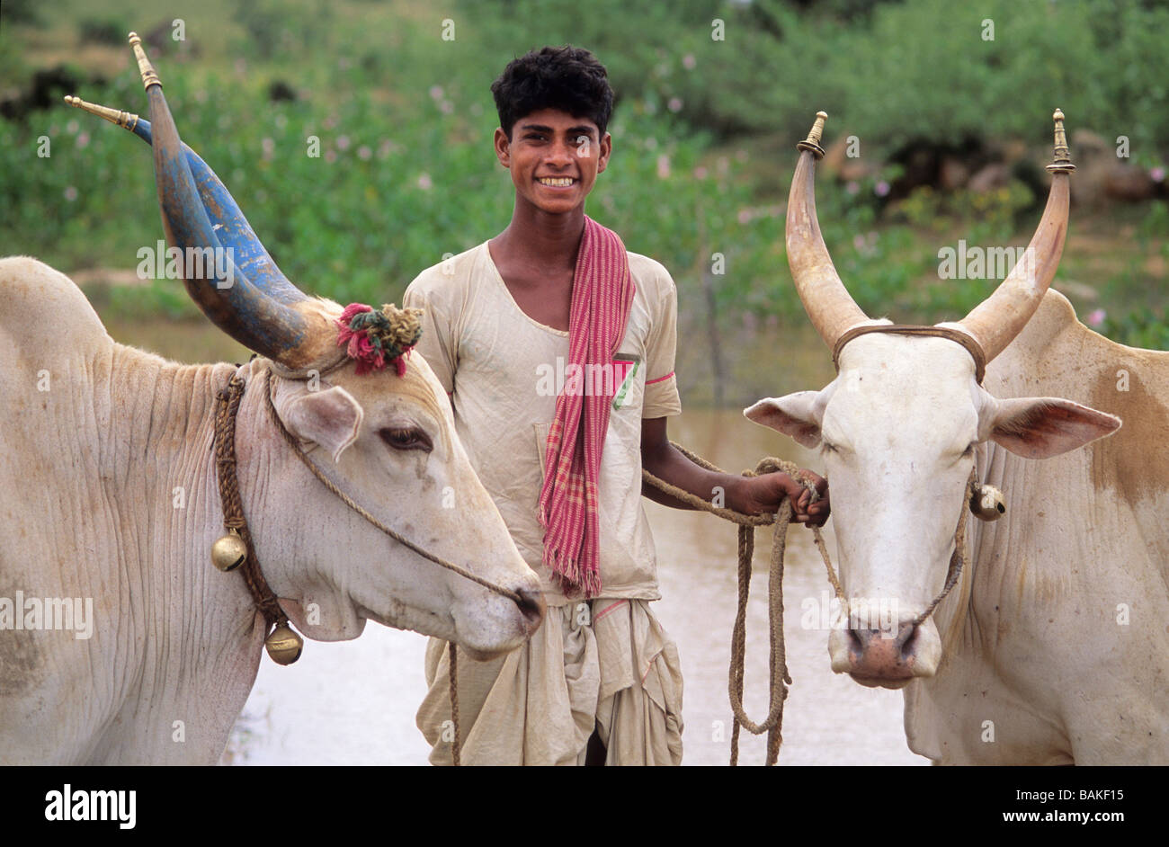 India, Karnataka State, Bellary region, young farmer Stock Photo - Alamy
