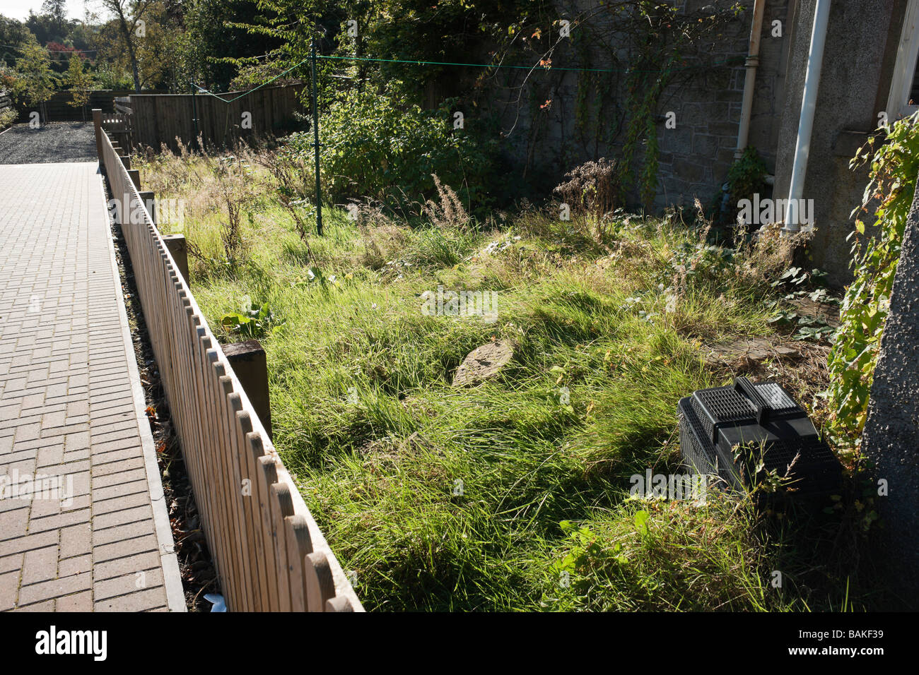 Overgrown bloom hi-res stock photography and images - Alamy
