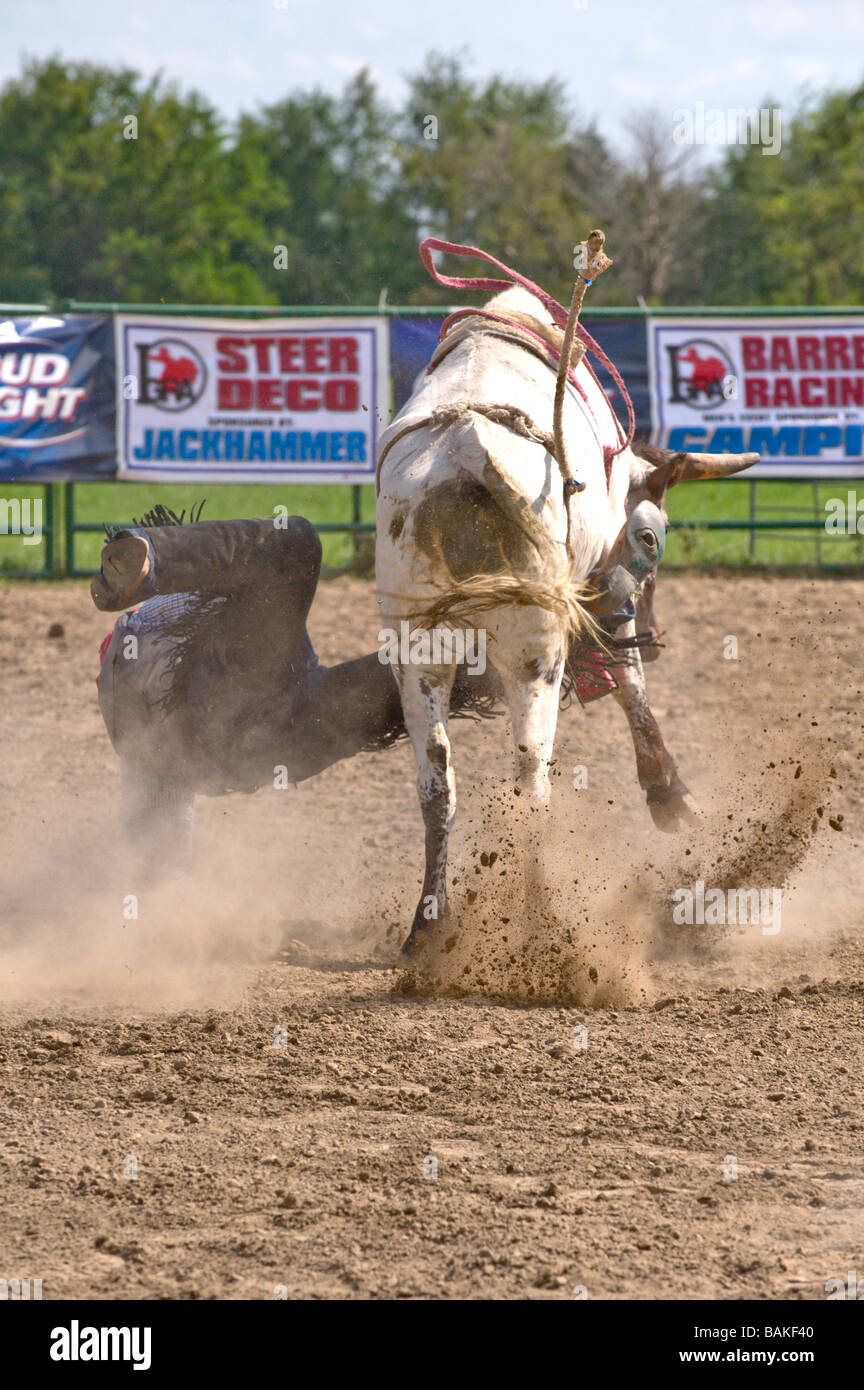 Bucked hi-res stock photography and images - Alamy