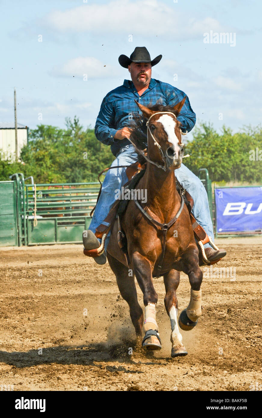 Man riding horse at a rodeo Stock Photo - Alamy