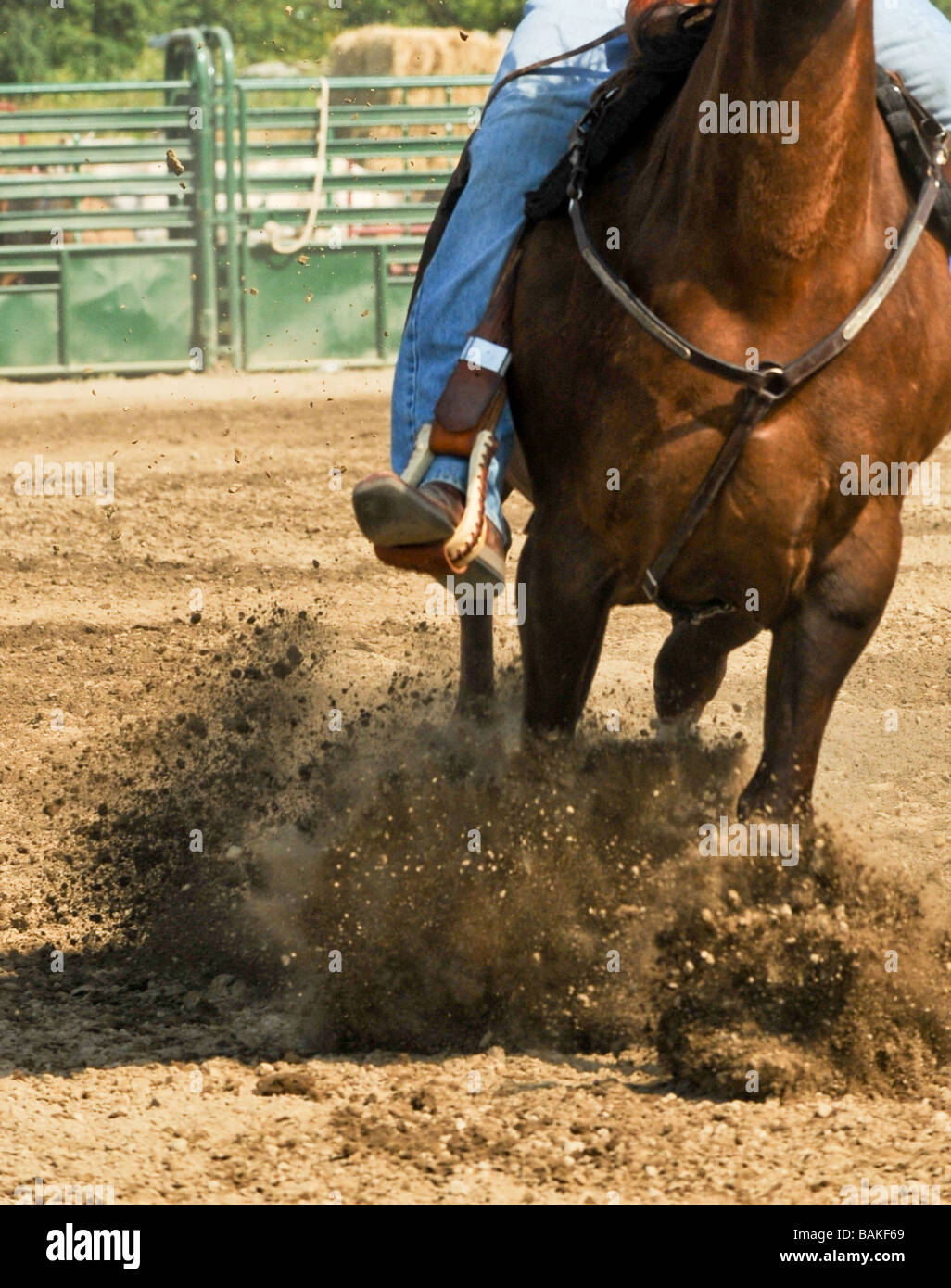Gay cowboy hi-res stock photography and images - Alamy