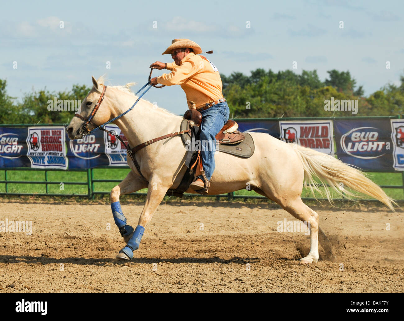 Barrel racing runnign horse at rodeo Stock Photo - Alamy