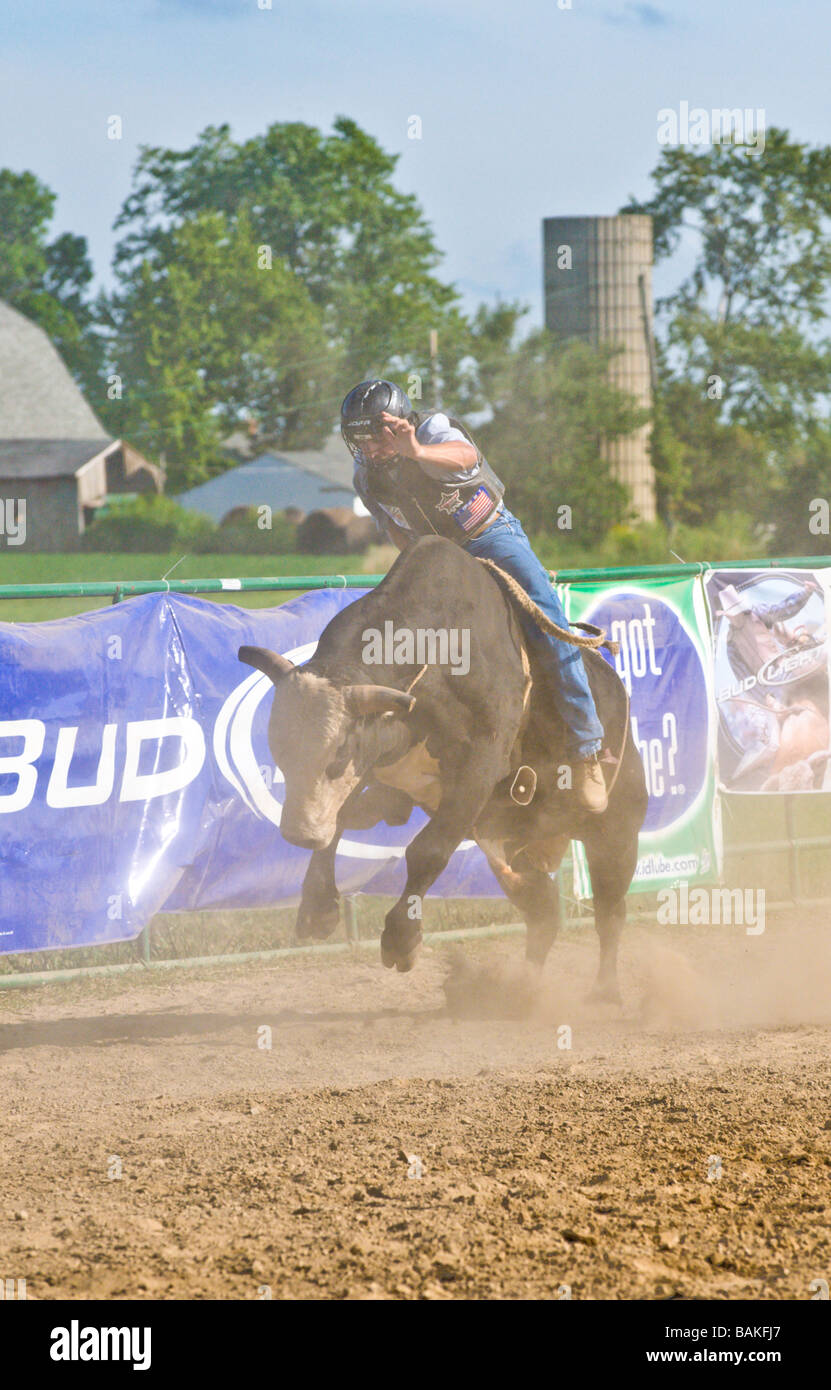 Bucking bull hi-res stock photography and images - Alamy