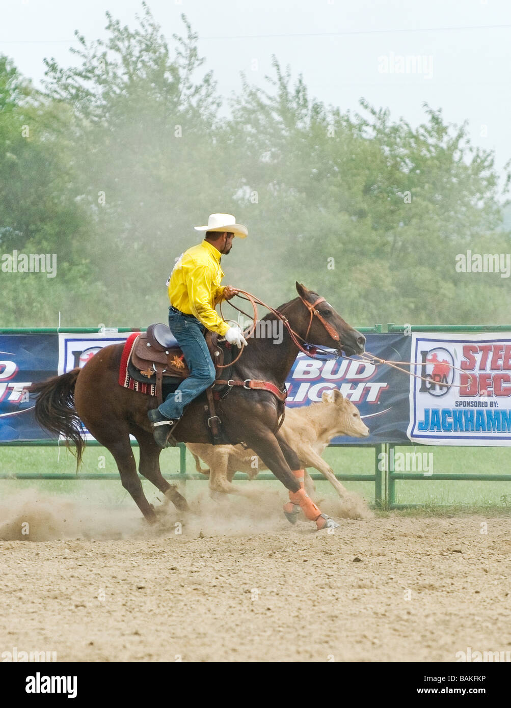 Cowgirl horse ranch lasso hi-res stock photography and images - Alamy