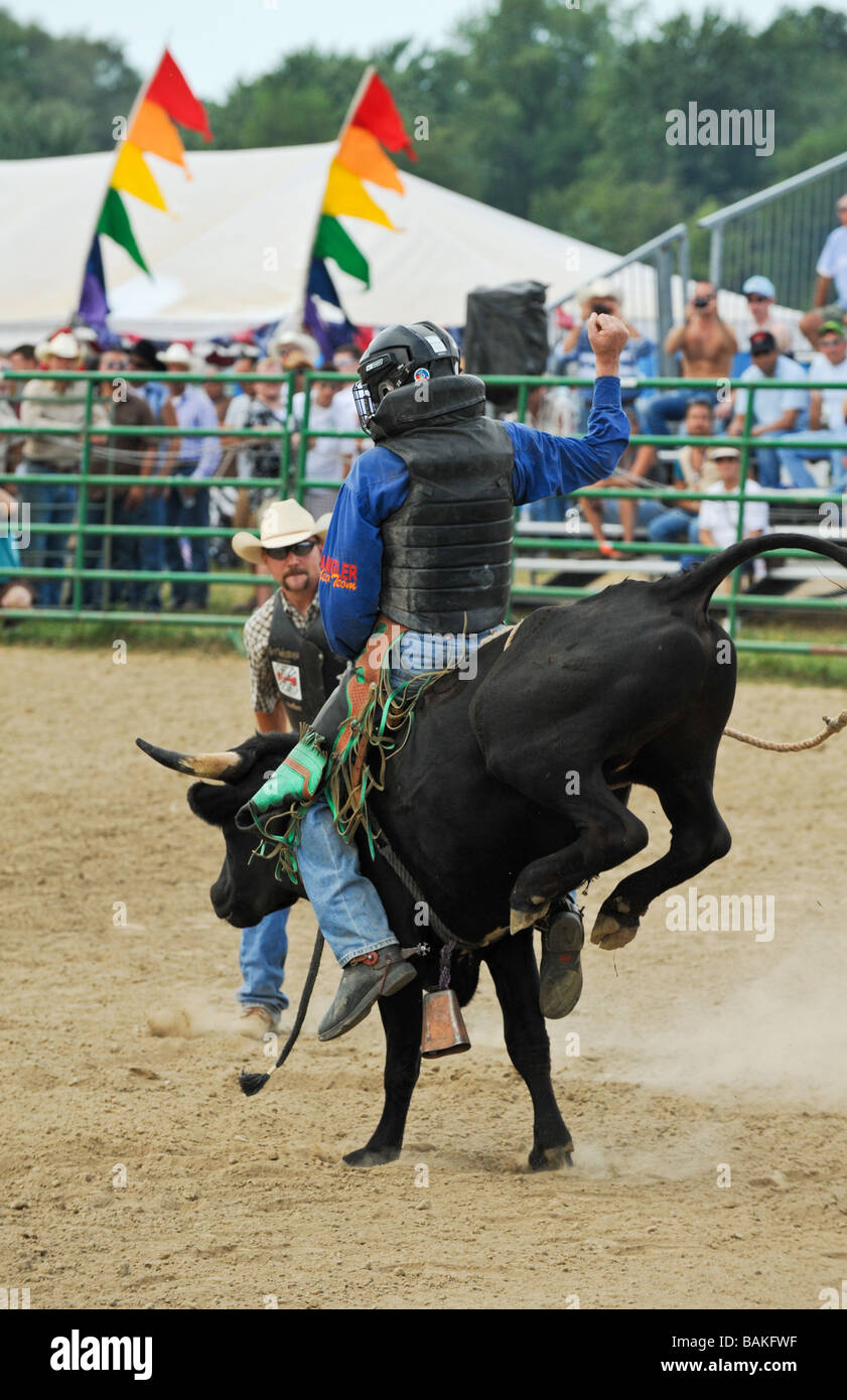Man on bucking steer at rodeo event Stock Photo - Alamy