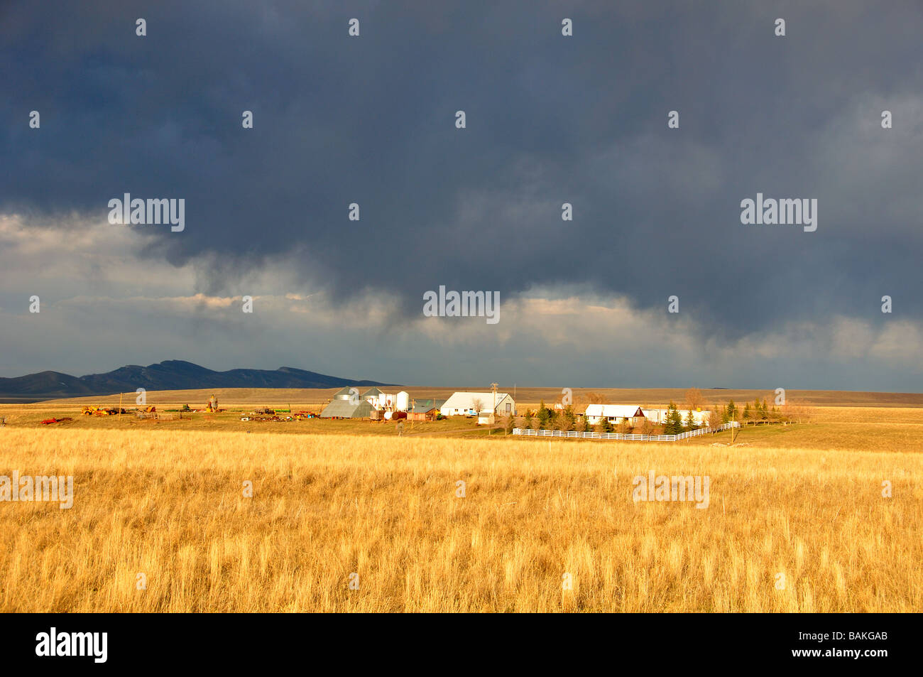 A farm in Utah Stock Photo - Alamy