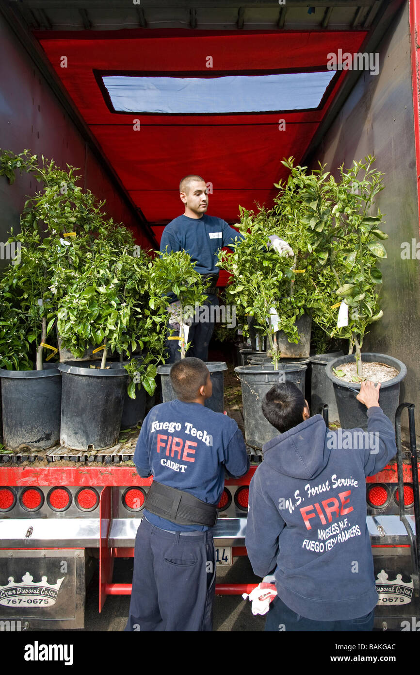 Conservation planting trees usa hi-res stock photography and images - Alamy