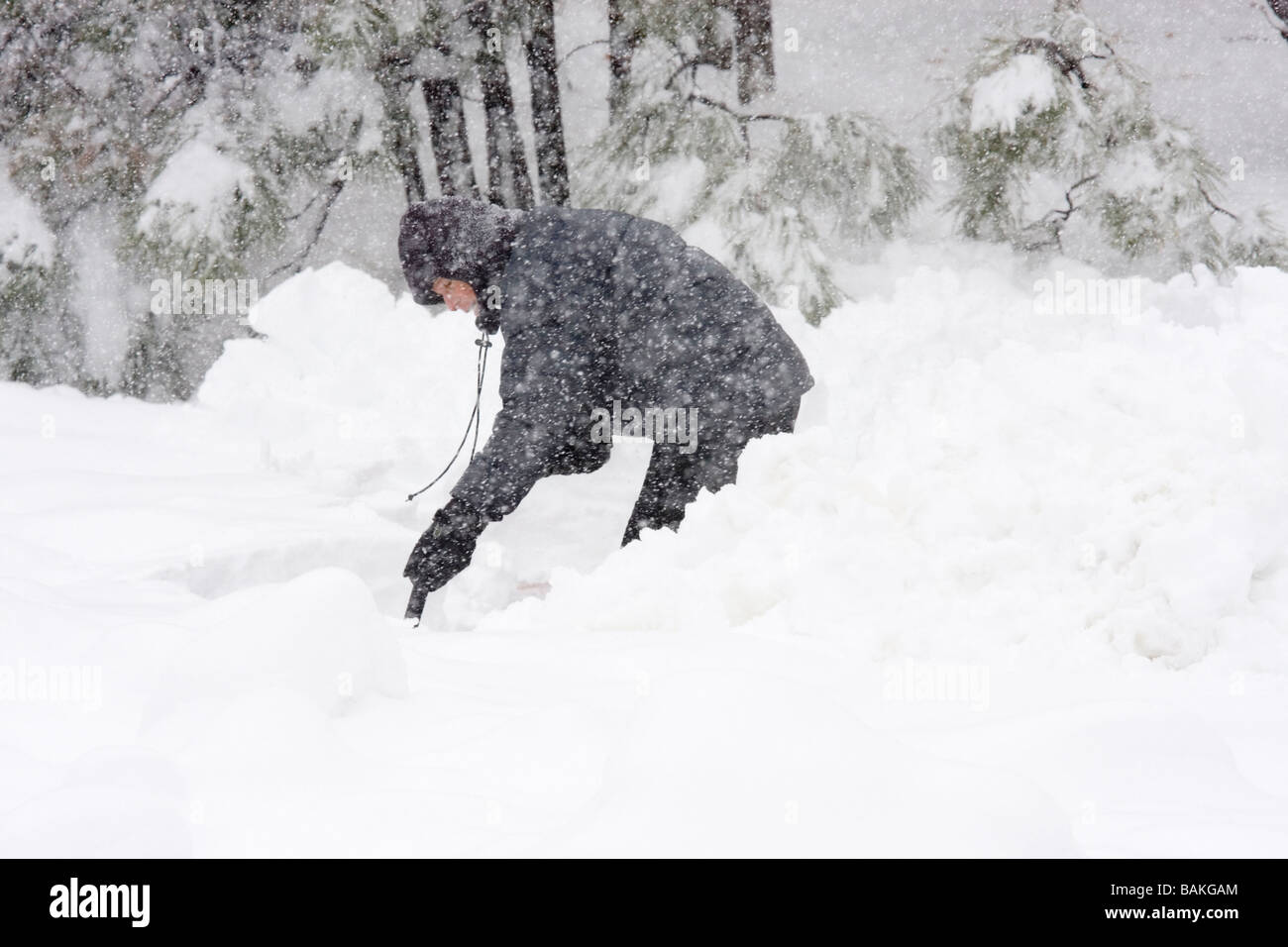 Shoveling snow blizzard digging hi-res stock photography and images - Alamy