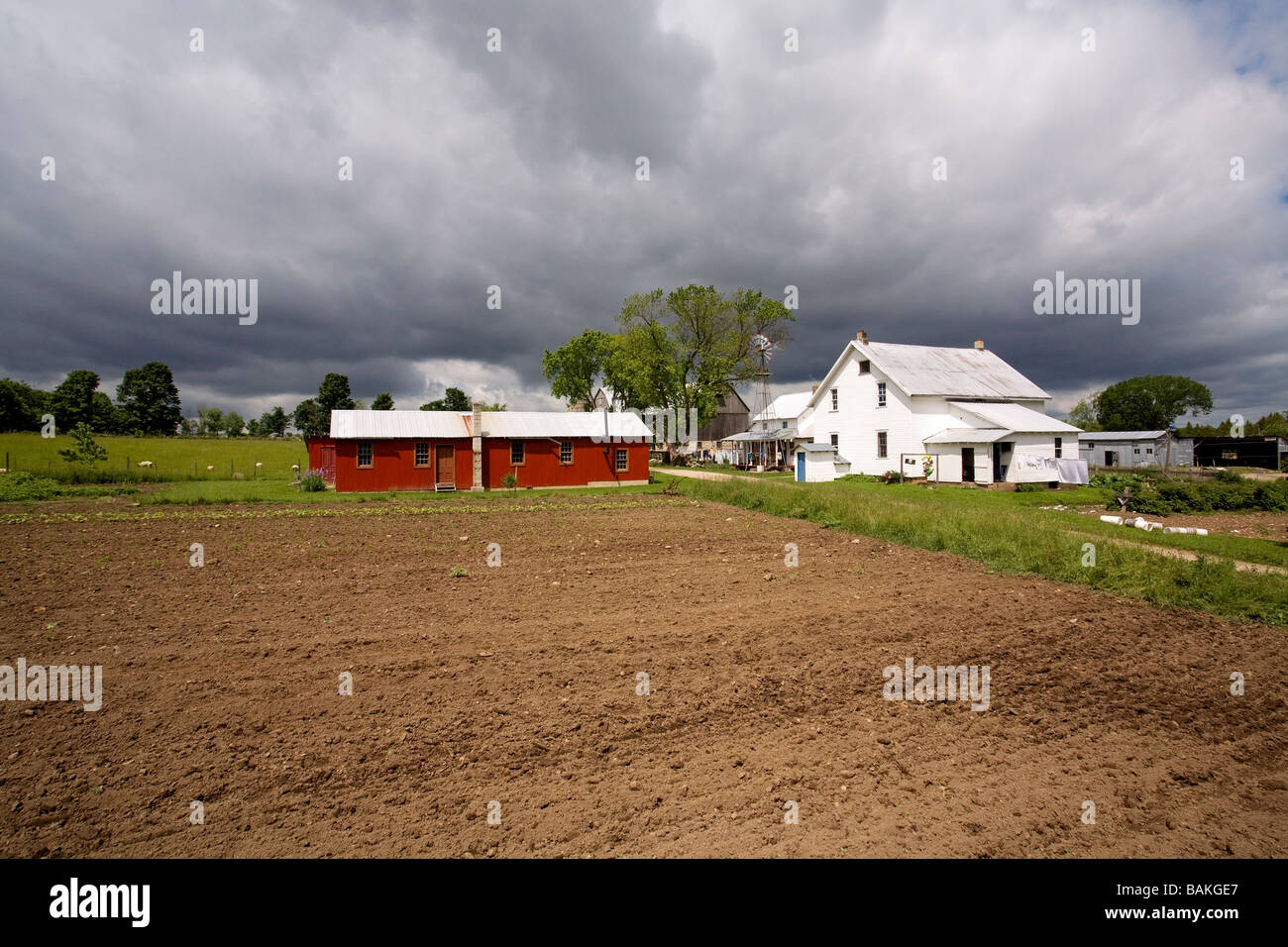 Canada, Ontario Province, Grey County, surrondings of Williamsford ...