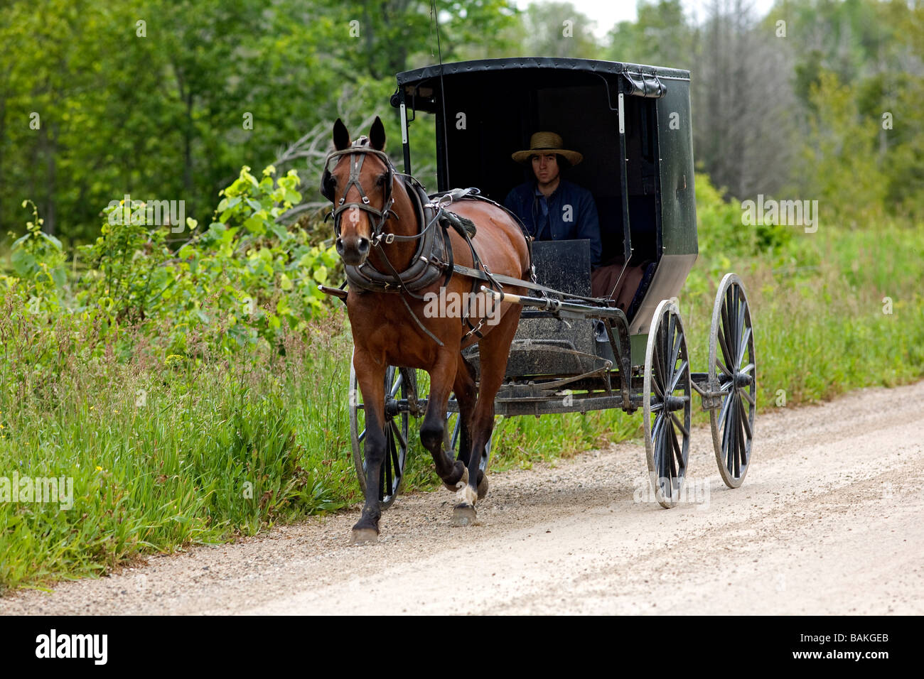 Amish man horse carriage hi-res stock photography and images - Alamy