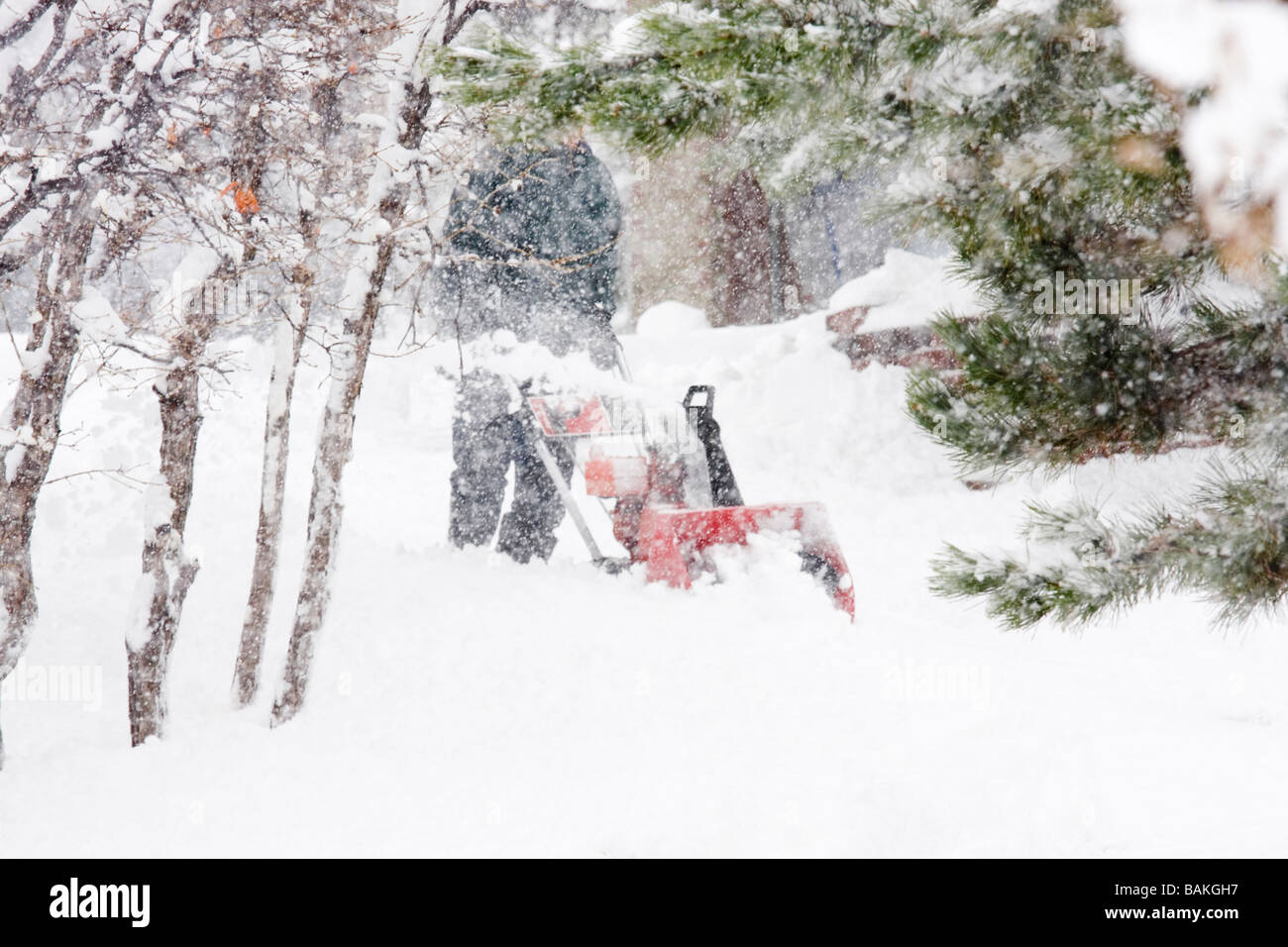Shoveling snow blizzard digging hi-res stock photography and images - Alamy