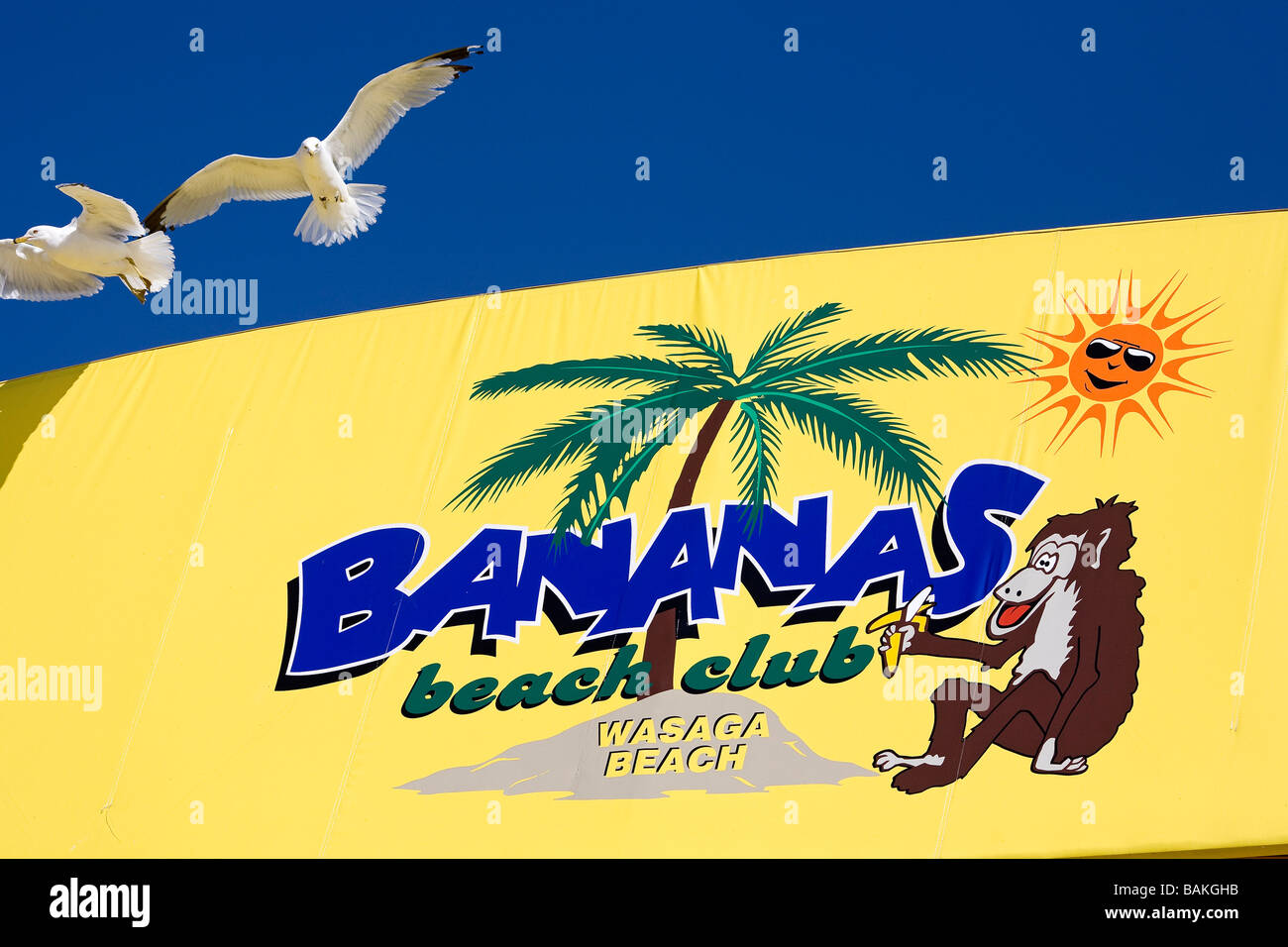 Canada, Ontario Province, Georgian Bay, Wasaga Beach, sign and seagull ...