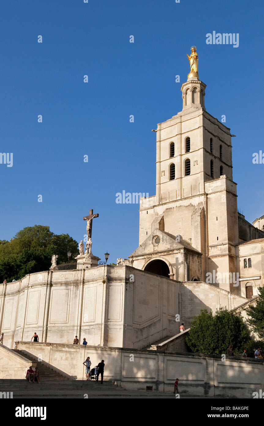 France, Vaucluse, Avignon, Notre Dame des Doms Cathedral listed as ...