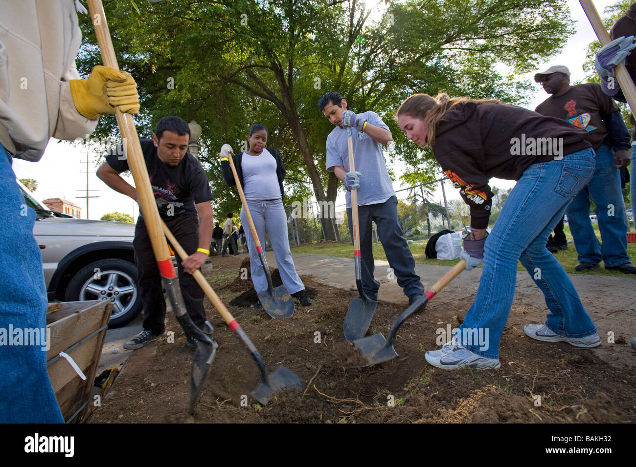 Tree Planting in Highland Park, Los Angeles, California, USA Stock ...