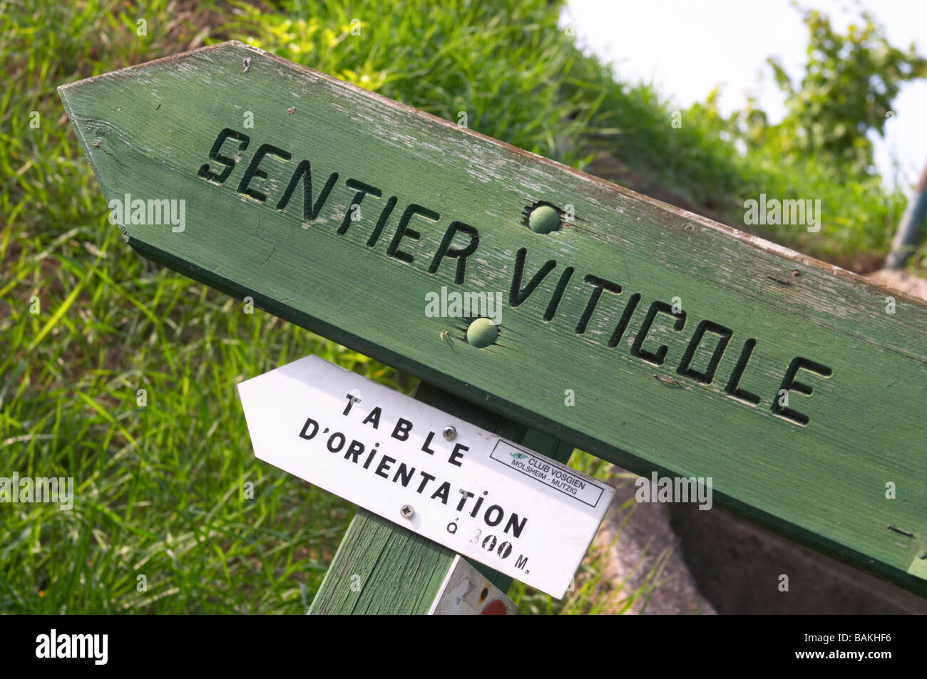 walking path sign alsace france Stock Photo - Alamy