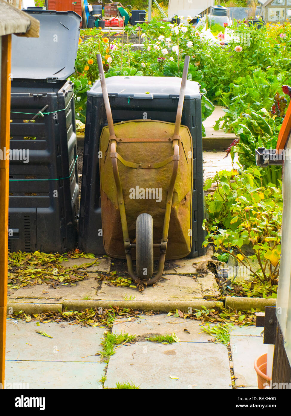 Old Rusty Green Wheelbarrow in British Allotment Stock Photo - Alamy