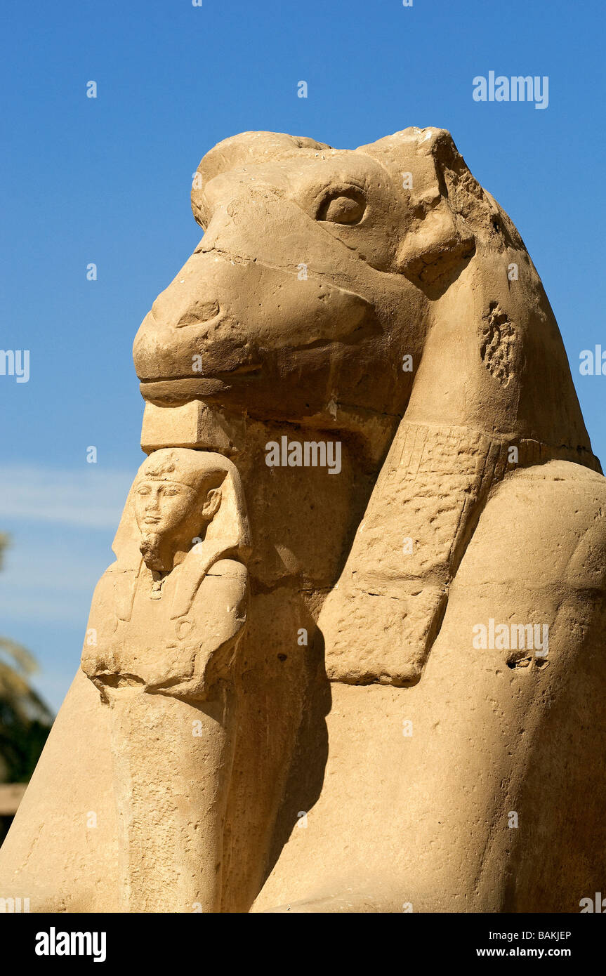 Lion egyptian god osiris hi-res stock photography and images - Alamy
