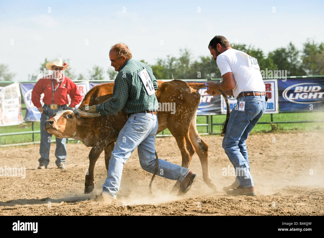 Men competing in steer deco event at rodeo Stock Photo - Alamy