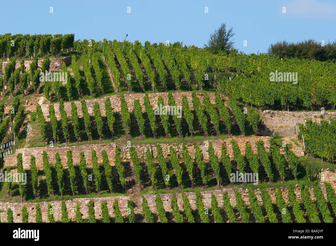 Geisberg alsace hi-res stock photography and images - Alamy