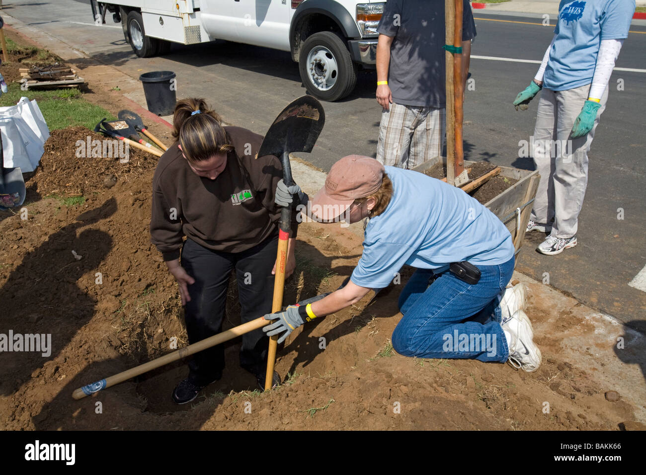 Diverse park planting hi-res stock photography and images - Alamy