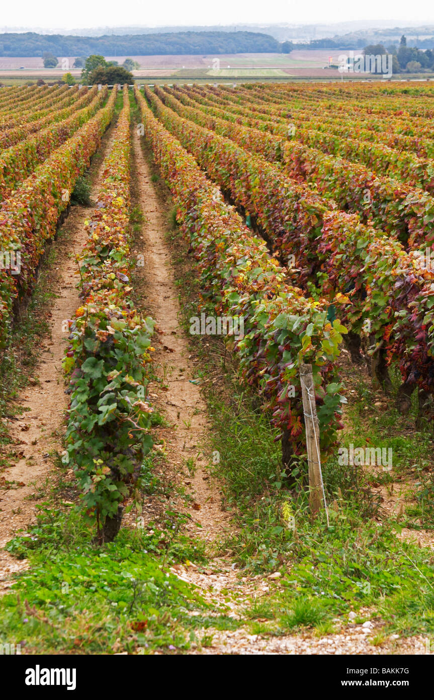 Fixin hi-res stock photography and images - Alamy