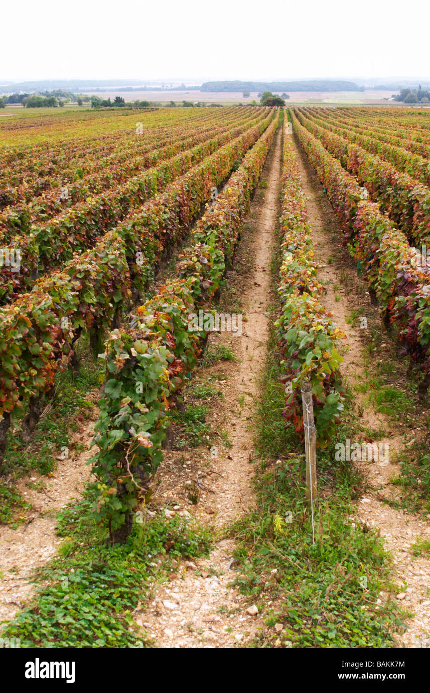 Fixin hi-res stock photography and images - Alamy