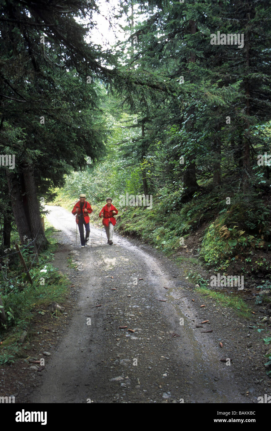 Couple walk hike path road woods forest tree green nature natural fresh ...