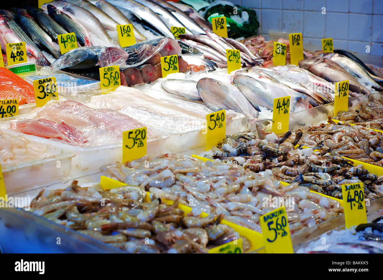 Seafood On Display High Resolution Stock Photography and Images - Alamy