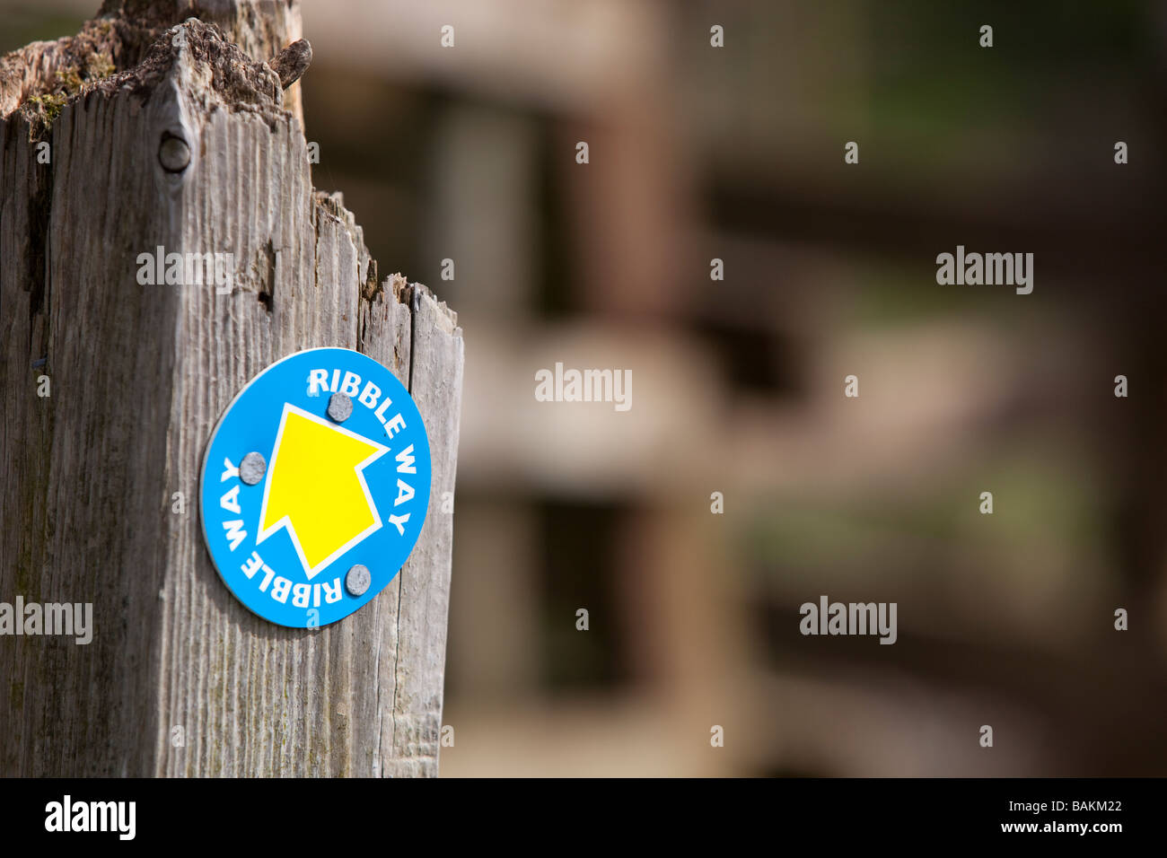 Ribble way hi-res stock photography and images - Alamy