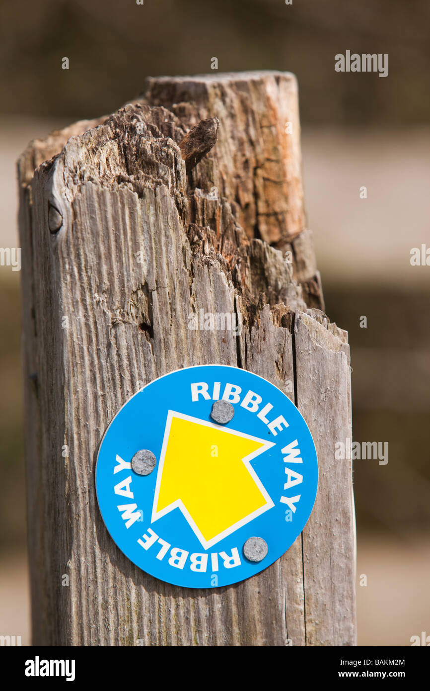 Ribble way hi-res stock photography and images - Alamy