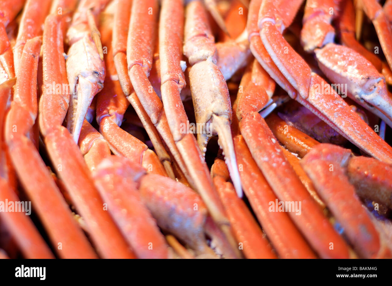 Animals with many legs hi-res stock photography and images - Alamy