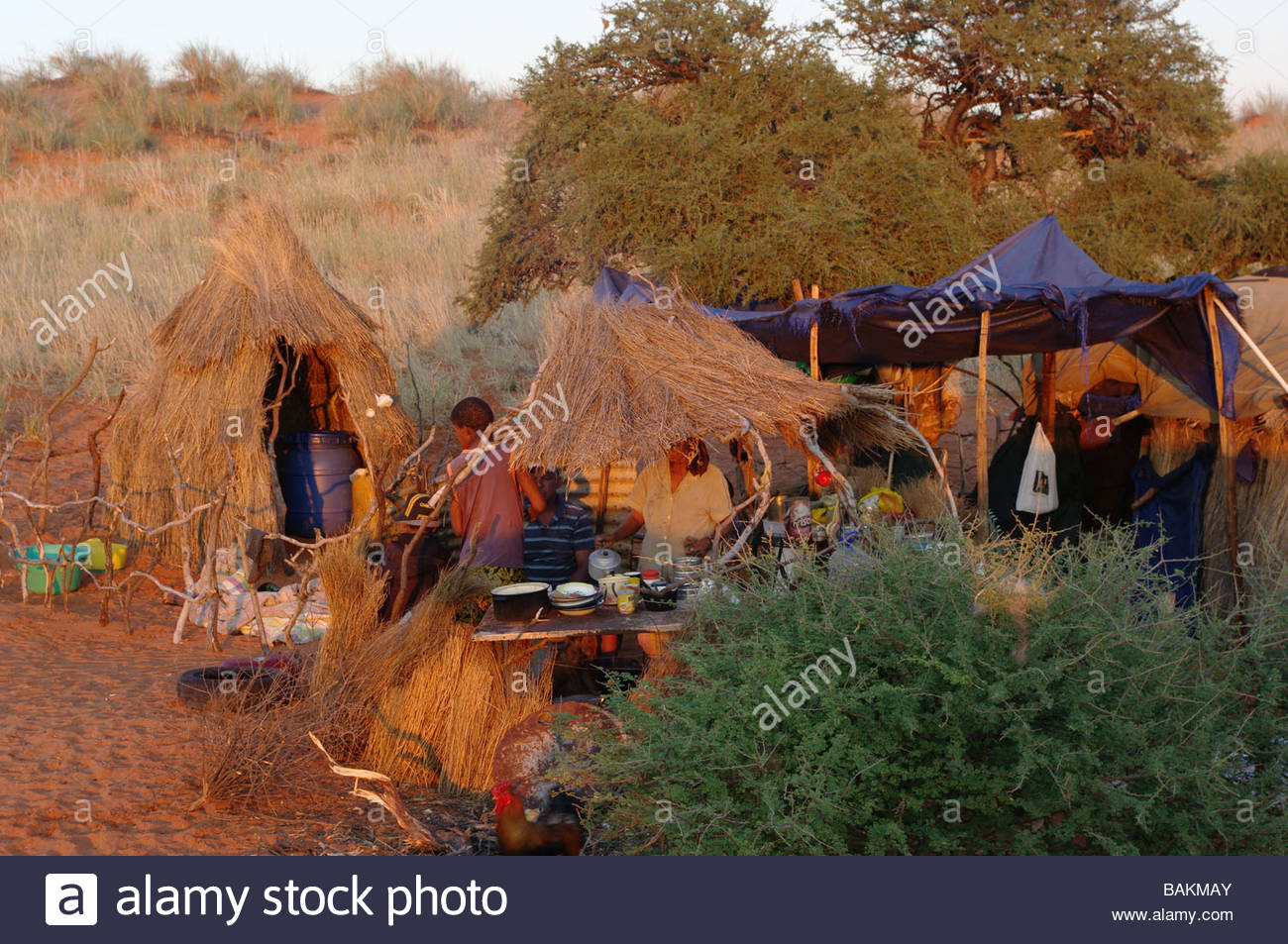 Desert Khoisan Native High Resolution Stock Photography and Images - Alamy