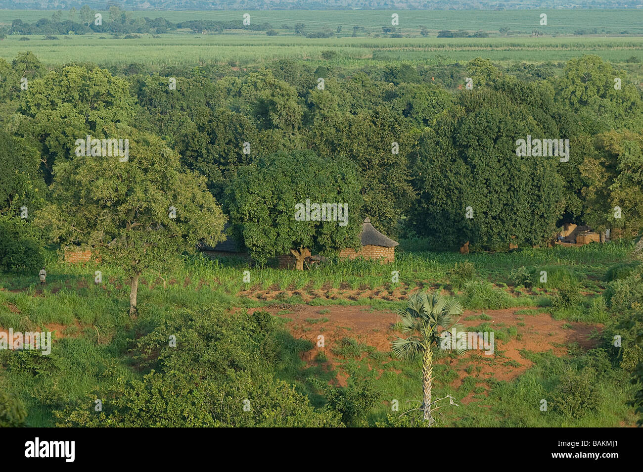 Karfiguela hi-res stock photography and images - Alamy