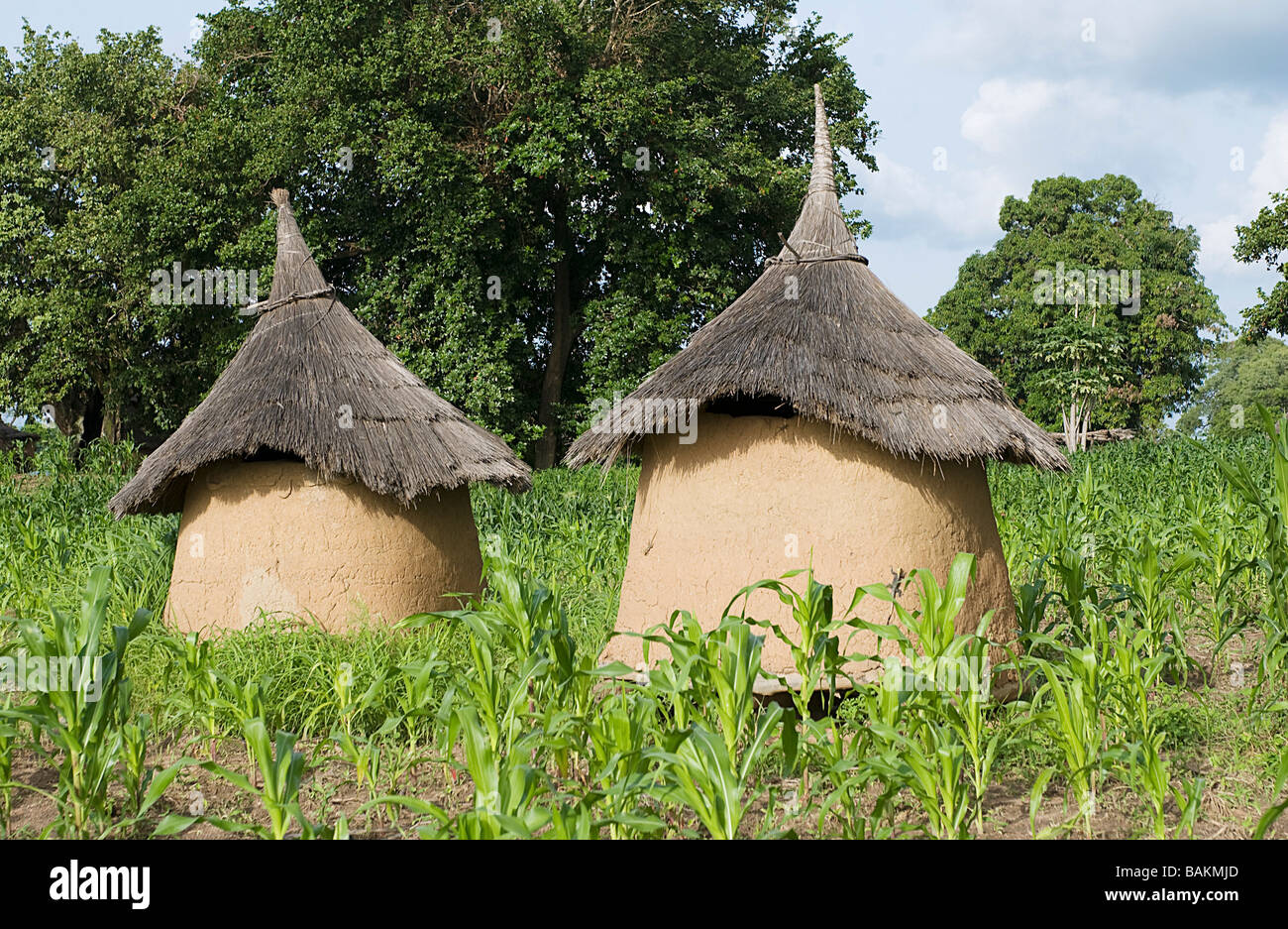Burkina Faso, Poni Province, Obiri village of Lobi group near Loropeni ...