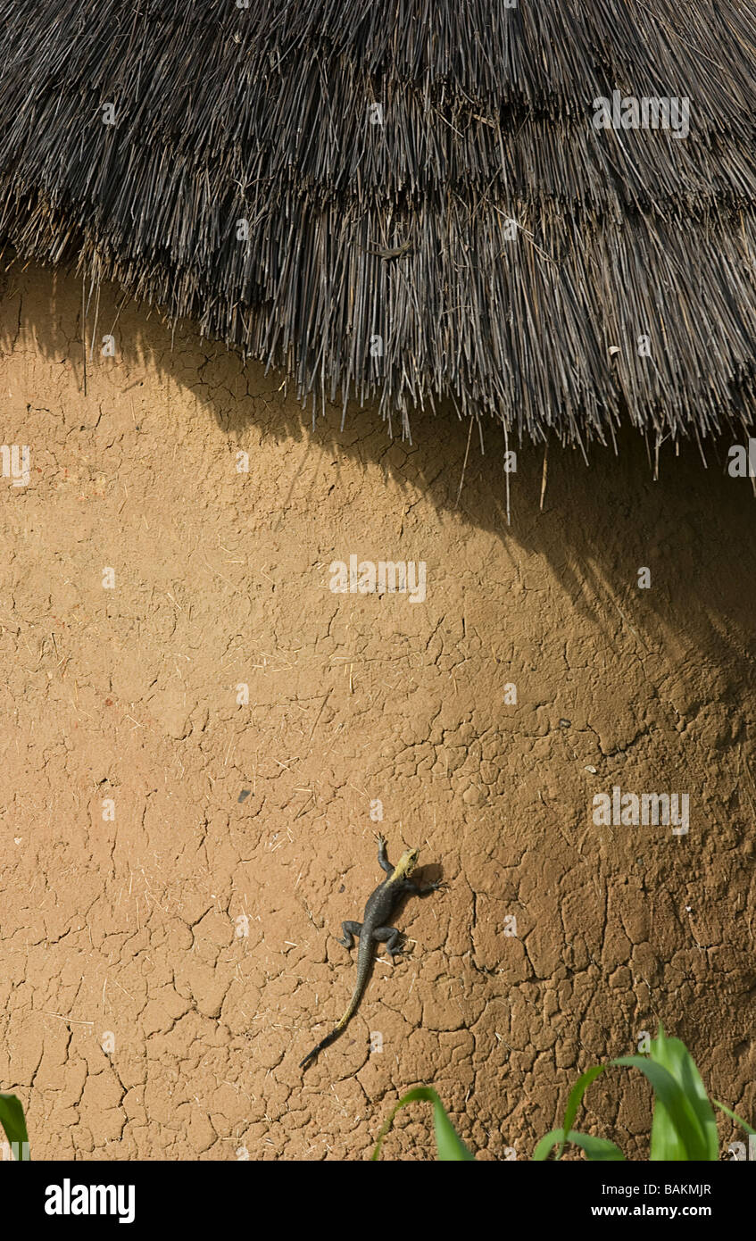 Burkina Faso, Poni Province, Obiri village of Lobi group near Loropeni ...