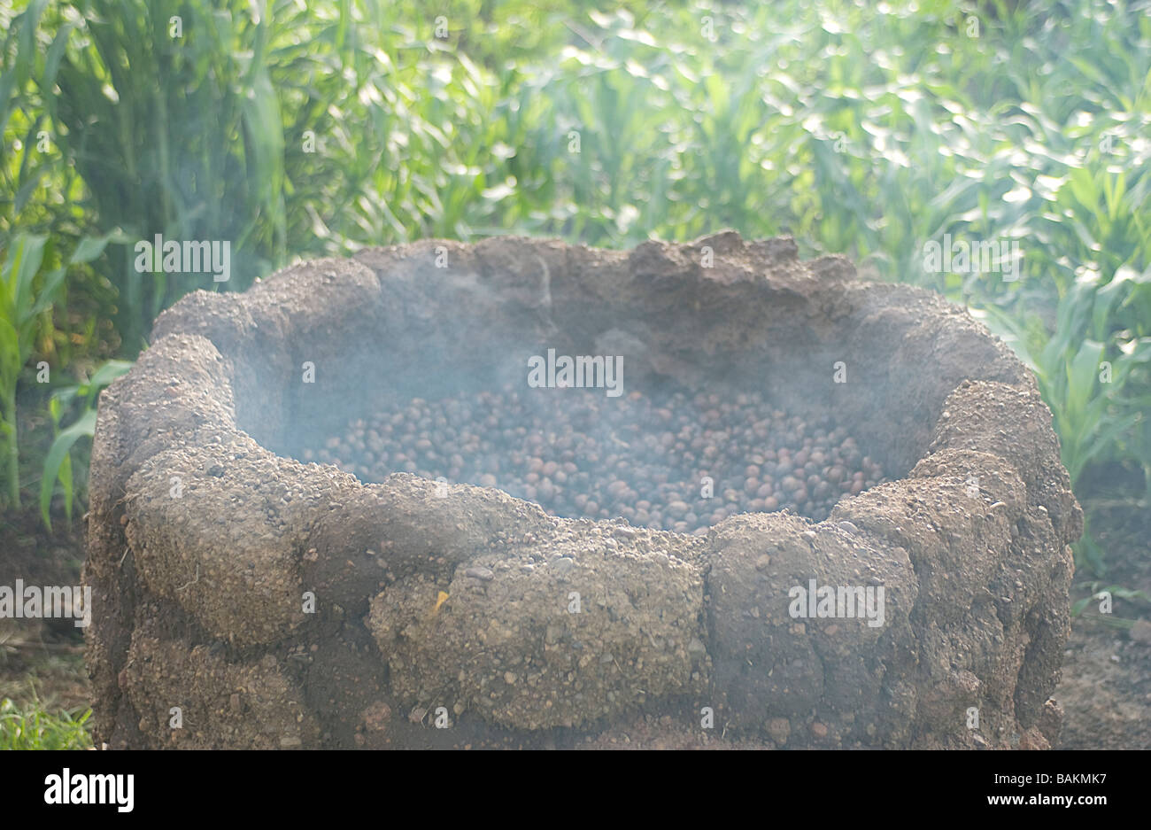 Burkina Faso, Poni Province, Obiri village of Lobi group near Loropeni ...