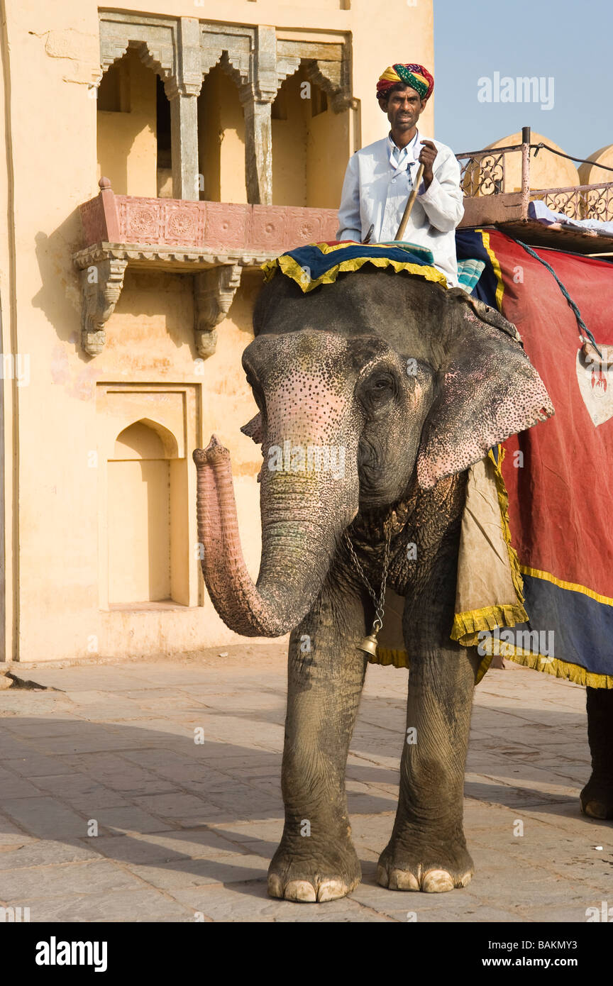 Decorated elephants hi-res stock photography and images - Alamy
