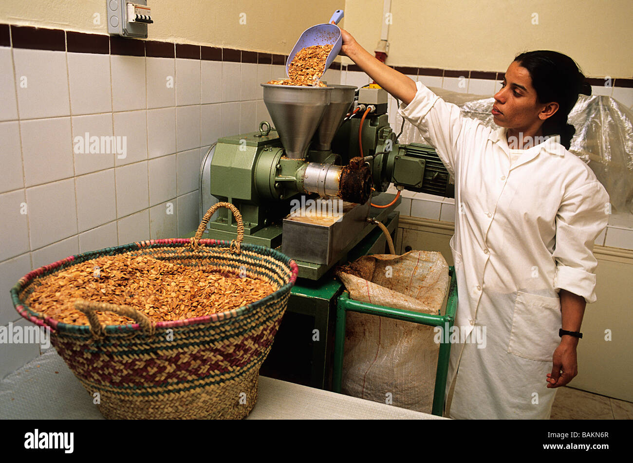 Pressing almonds for making oil hi-res stock photography and images - Alamy