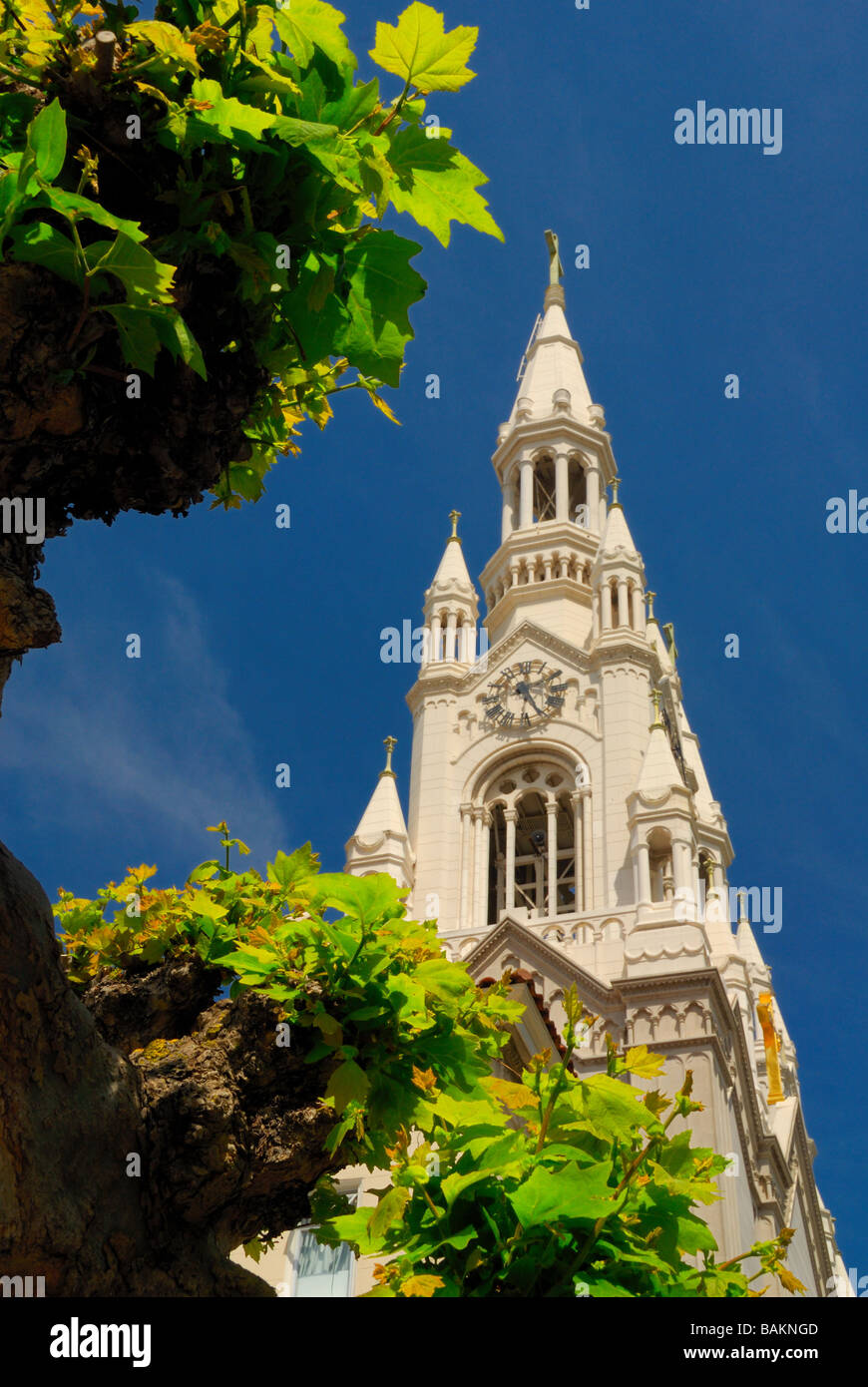 Peter francisco hi-res stock photography and images - Alamy